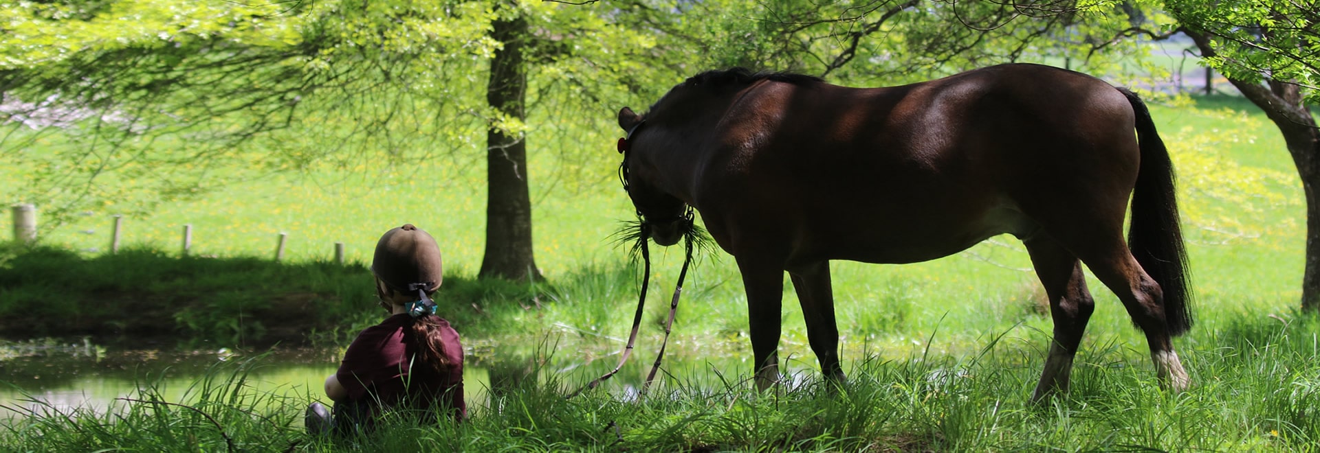 Farmside Broadband Internet Services